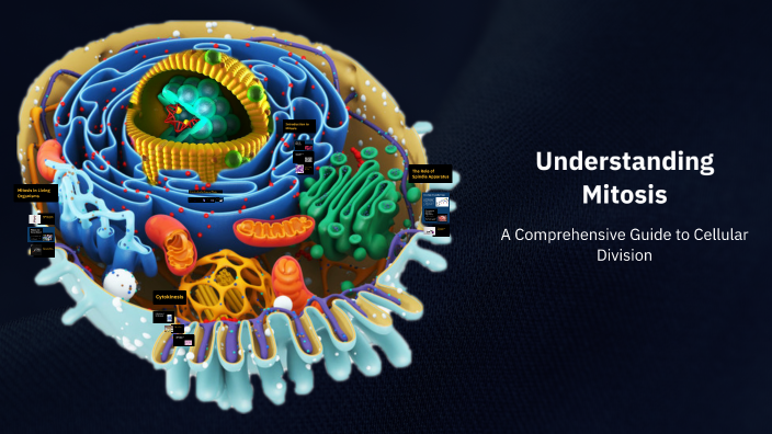 Understanding Mitosis by Ryan Huether on Prezi