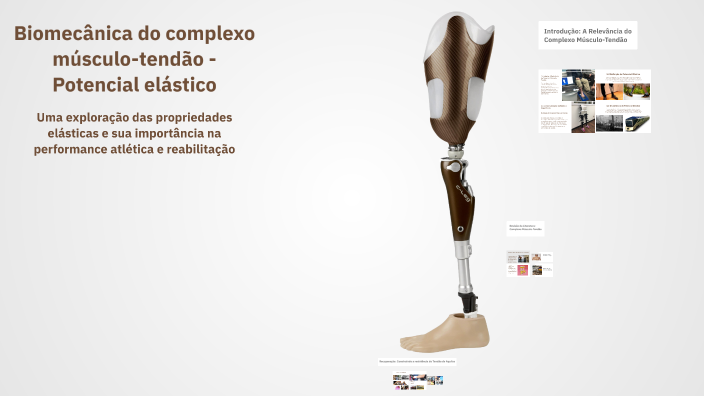 Biomecânica do complexo músculo-tendão - Potencial elástico by Joana ...