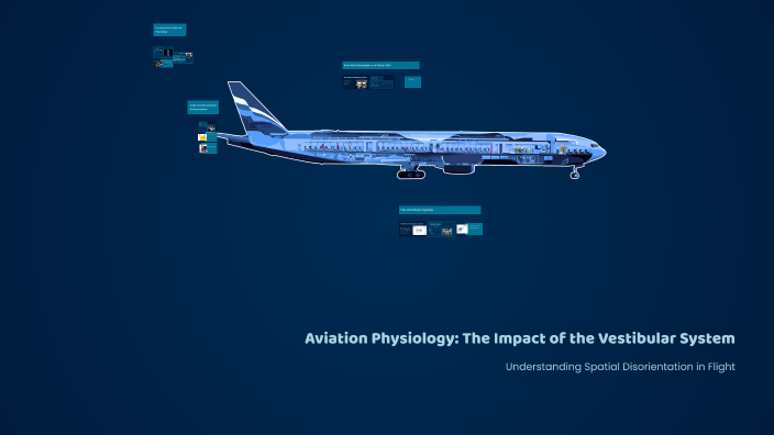 Aviation Physiology: The Impact of the Vestibular System by Brian ...
