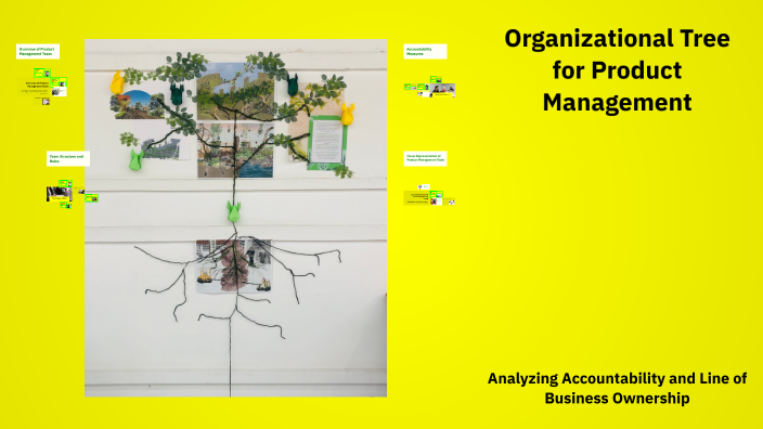 Organizational Tree for Product Management by PJ Farmer on Prezi