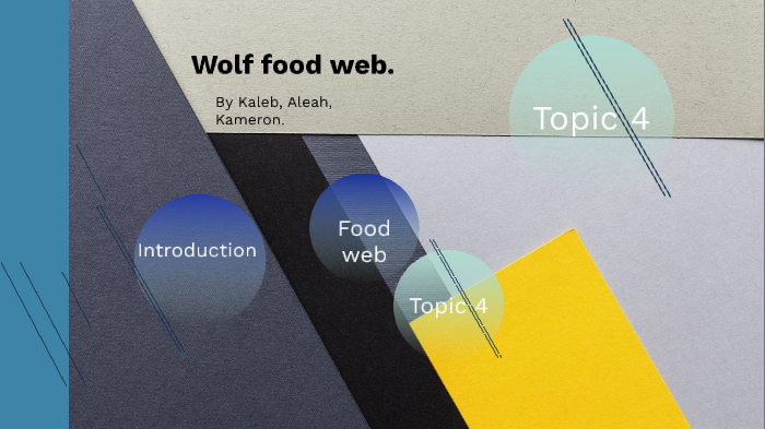 Wolf food web by Kaleb Story on Prezi
