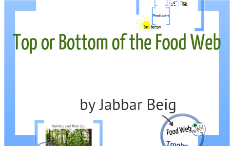 Narrative Input Chart by Melissa Saucedo on Prezi