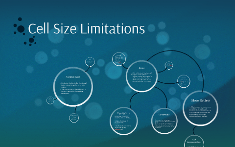 Cell Size Limitations by Chenoa Jones on Prezi
