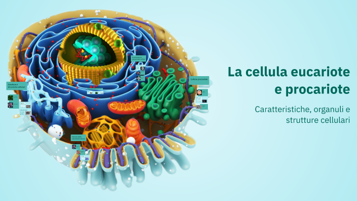 La cellula eucariote e procariote by Ludovico Del Vecchio on Prezi