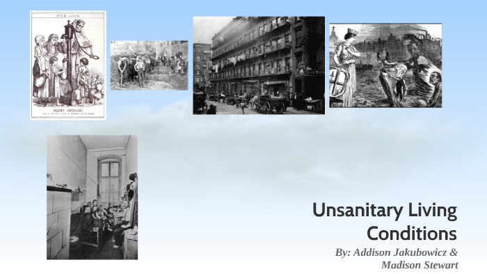 Unsanitary Living Conditions by Madison Stewart on Prezi