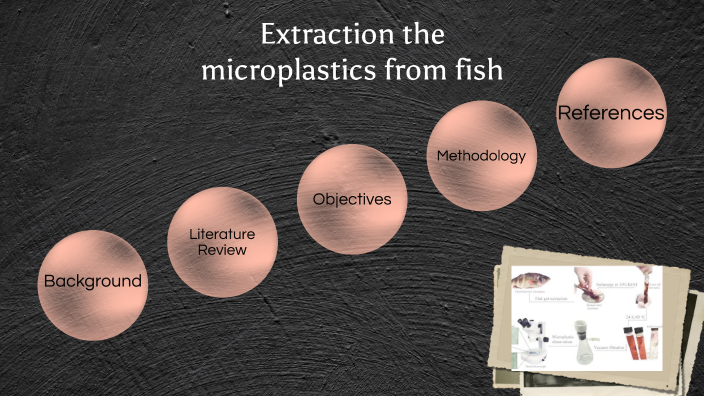 Extraction the microplastics from fish by Shamma Albusaeedi on Prezi