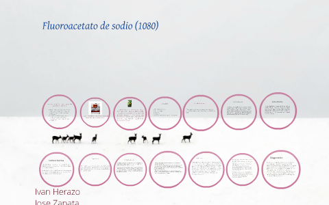 fluoroacetato de sodio (1080) by Ivan Andres on Prezi