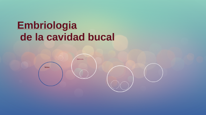 Embriologia de la cavidad bucal by Teresa Núñez on Prezi Embriologia de la cavidad bucal by Teresa Núñez on Prezi
