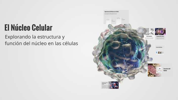 El Núcleo Celular by Marco Condori on Prezi