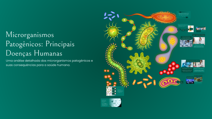 Microrganismos Patogênicos: Principais Doenças Humanas by Maria Eduarda ...