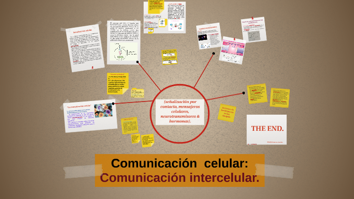 comunicacion celular: comunicacion intercelular. by flor gonzaléz ...