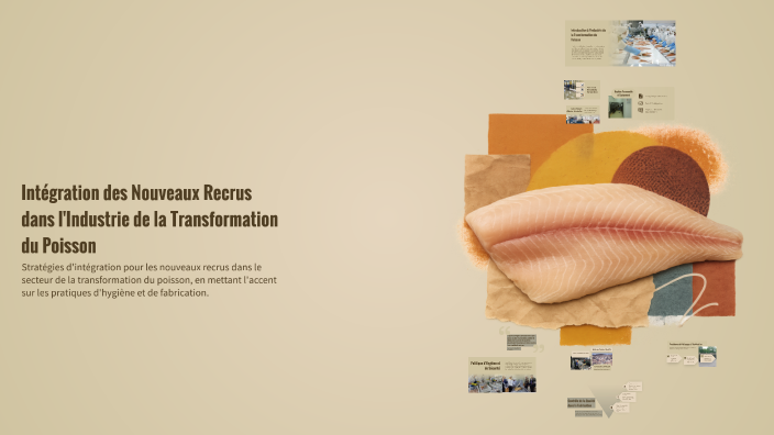 Intégration des Nouveaux Recrus dans l'Industrie de la Transformation ...