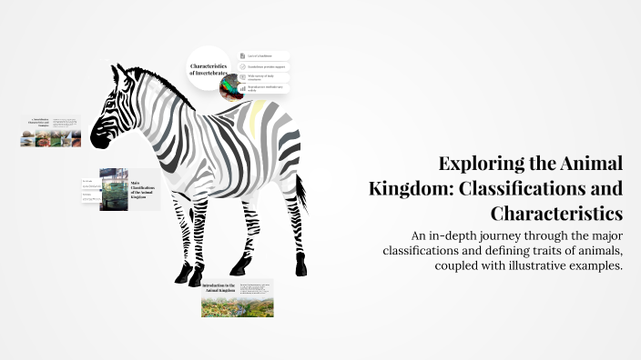 Exploring the Animal Kingdom: Classifications and Characteristics by ...