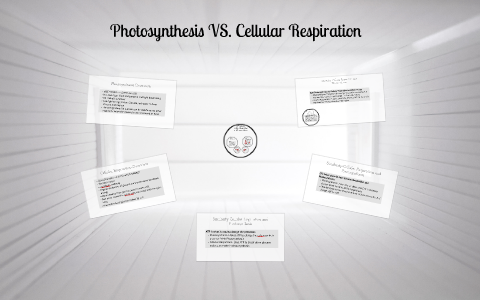 Photosynthesis by Ava Bollinger on Prezi