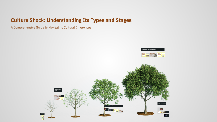 Culture Shock: Understanding Its Types and Stages by bonu on Prezi