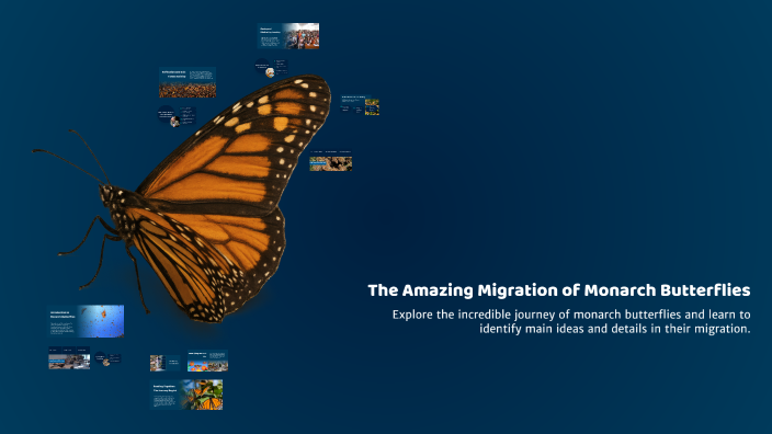 The Amazing Migration of Monarch Butterflies by Marwa Owis on Prezi