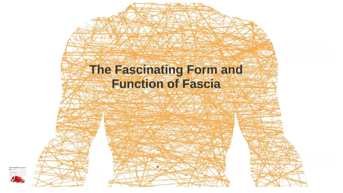 The Fascinating Form and Function of Fascia by Guido Dominguez on Prezi
