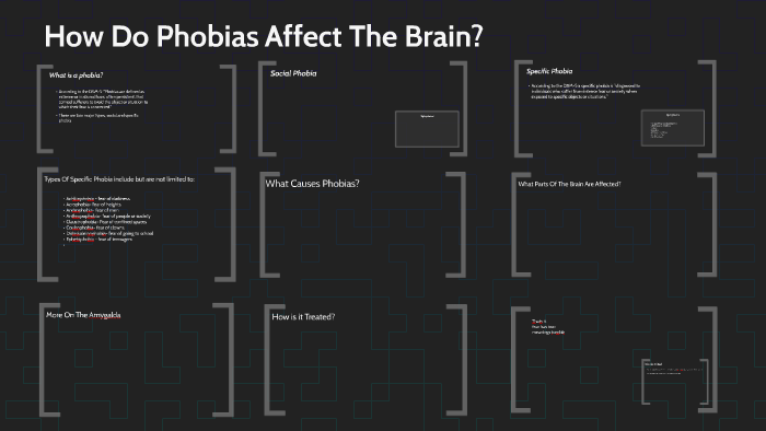 How Do Phobias Affect The Brain? by taylor w on Prezi