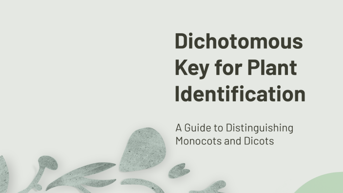 Dichotomous Key for Plant Identification by Elizabeth on Prezi