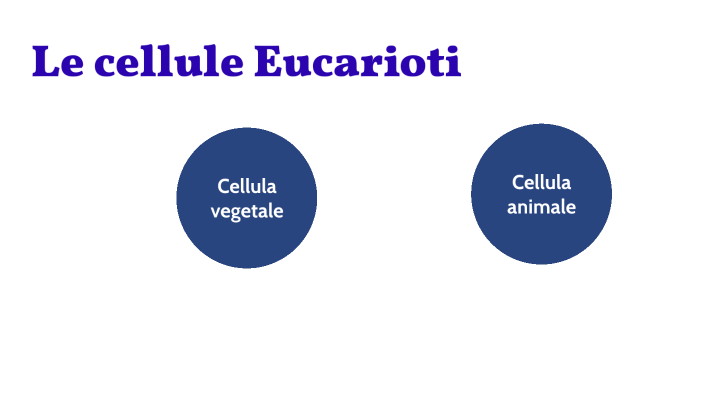 Cellule eucarioti by Luigi Benassi on Prezi