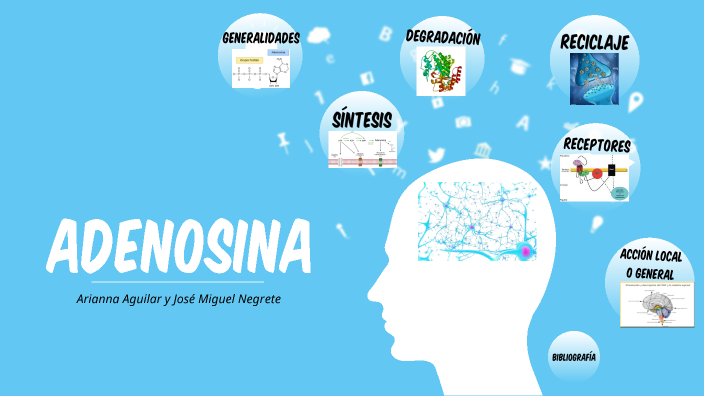 Adenosina- Arianna Aguilar y José MiguelNegrete by jose negrete on Prezi