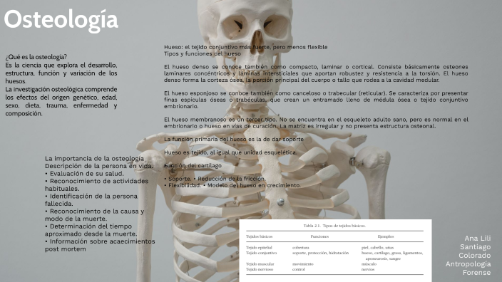 osteología by lili colorado on Prezi