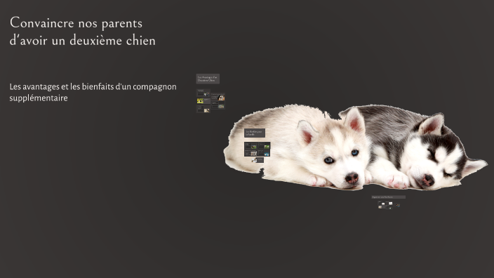 Convaincre nos parents d'avoir un deuxième chien by Anne-Esther Blais ...