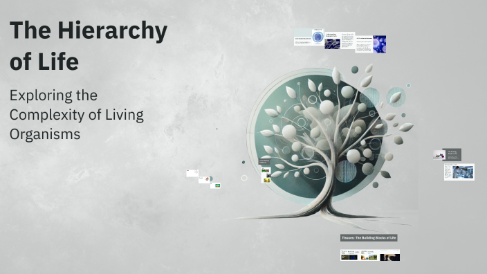 The Hierarchy of Life by Camille C on Prezi