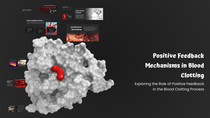 Positive Feedback Mechanisms in Blood Clotting by Tj Panuelos on Prezi