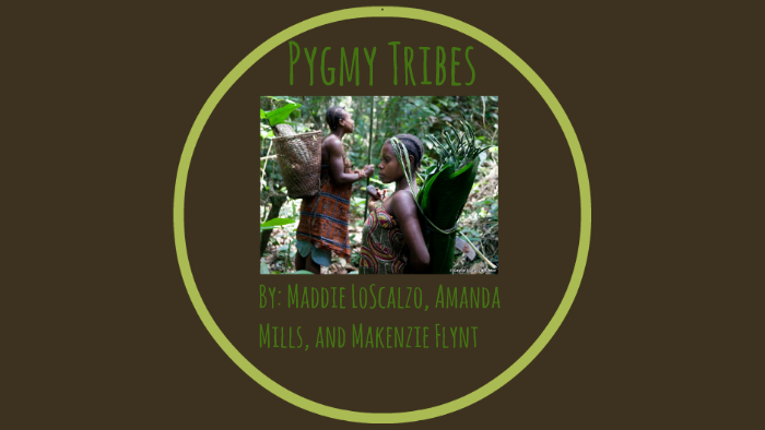 Pygmy Genocide by Amanda Mills on Prezi
