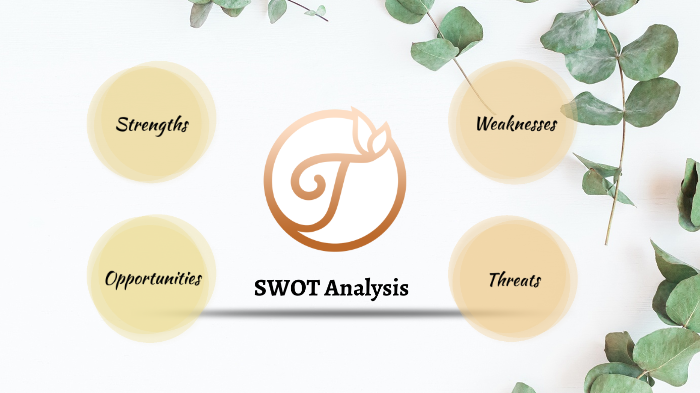 Elizabeth SWOT analysis slides by elizabeth salemi on Prezi
