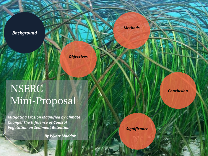 NSERC Mini-Proposal by Wyatt Rhys Maddox on Prezi