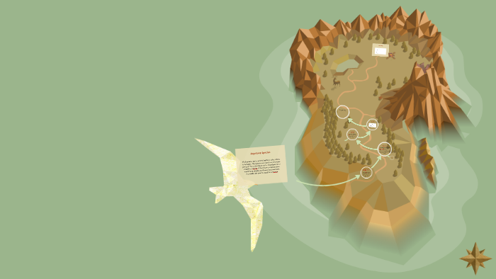 The keystone species of the cloud forest that I chose is the by shane ...