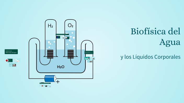 Biofísica del Agua by MARTIN GERARDO PEÑARANDA TAPIA on Prezi