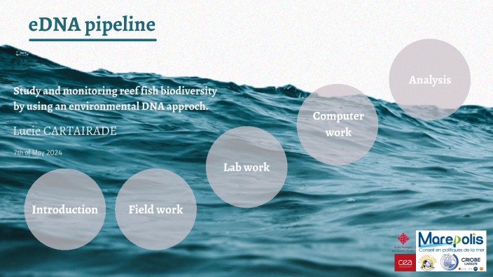 eDNA Pipeline by Lucie Cartairade on Prezi