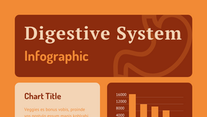 Digestive System Infographic by Grace Huh on Prezi Design