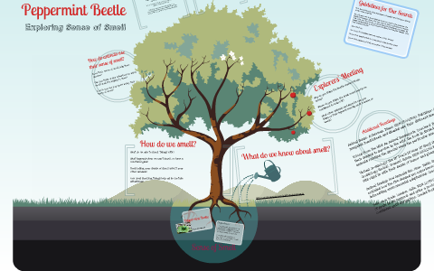 Peppermint Beetle by Becca Jennings