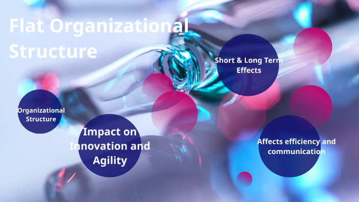 The Flat Organizational Structure by Abraham Walker on Prezi