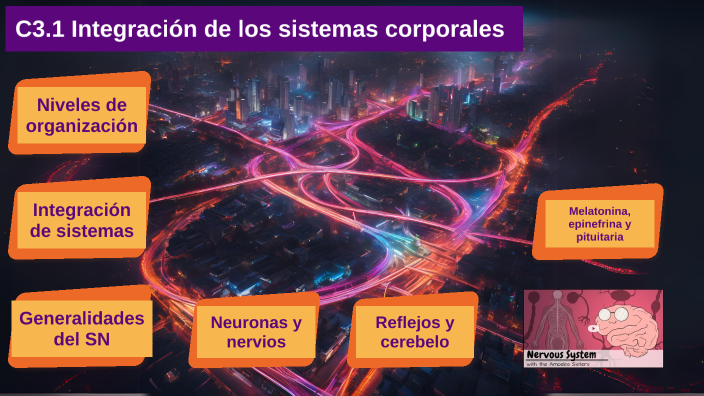 C3.1 Integración de los sistemas corporales by Víctor Salas on Prezi