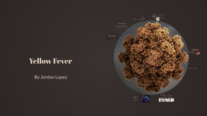 Understanding Yellow Fever: A Viral Perspective by Jordan L on Prezi