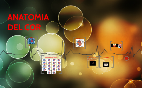 ANATOMIA DEL COR by Berta Gracia Ruiz on Prezi