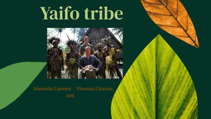 tribe Yaifo by thomas chacon on Prezi