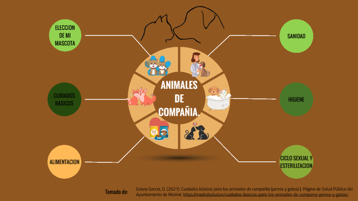 ANIMALES DE COMPAÑIA by Yuliana Hernandez on Prezi