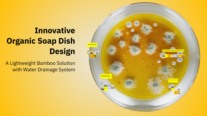 Innovative Organic Soap Dish Design by Tanisha Raut on Prezi
