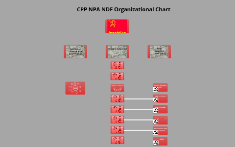 cpp npa organizational chart by ruth ibanes on Prezi