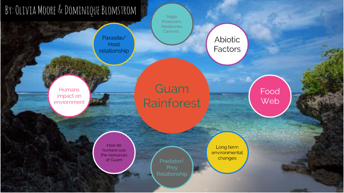 Guam-Rainforest by Daominique blomstrom on Prezi