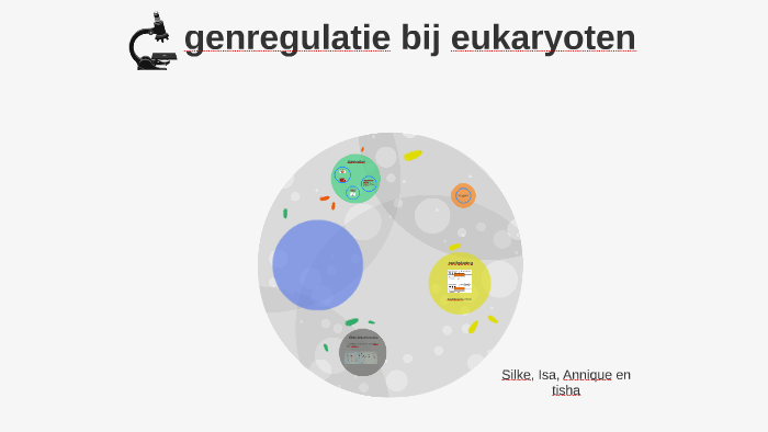 genregulatie bij eukaryoten by Rob Boutmy on Prezi