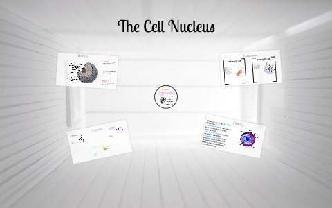 The Cell Nucleus by ch lee on Prezi