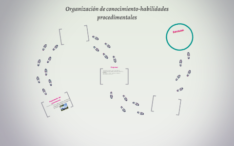 Organizacion conocimiento-Habilidades procedimentales by Sandra Rubiano