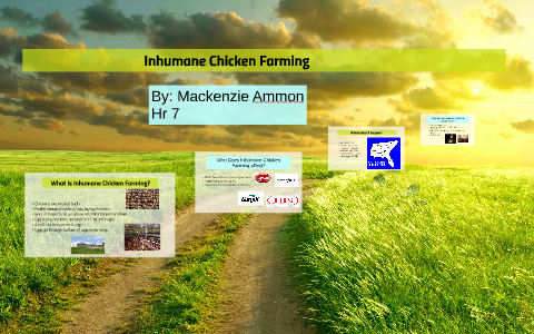 Inhumane chicken Farming by Mackdoogle Ammon